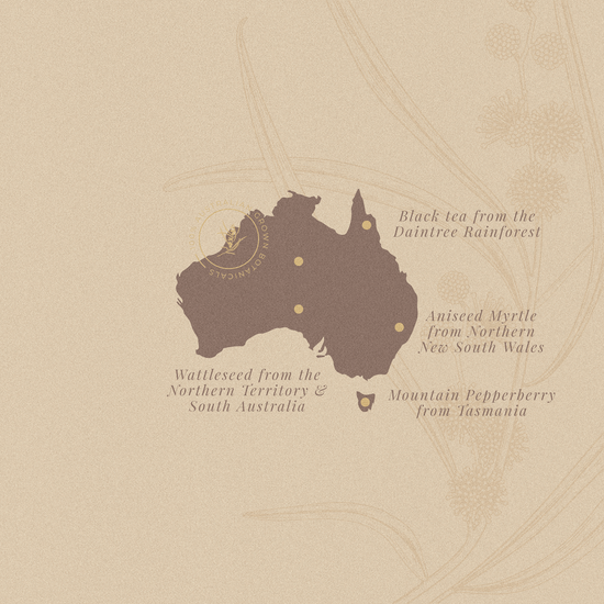 The Tea Centre Loose Leaf Tea | Spiced Wattleseed – MoB Shop